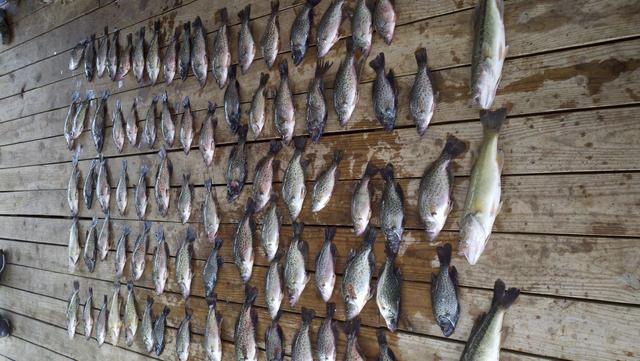 PVC structure 1st Attempt - Crappie Cover, Lake Structure and Pond Mgmt ...