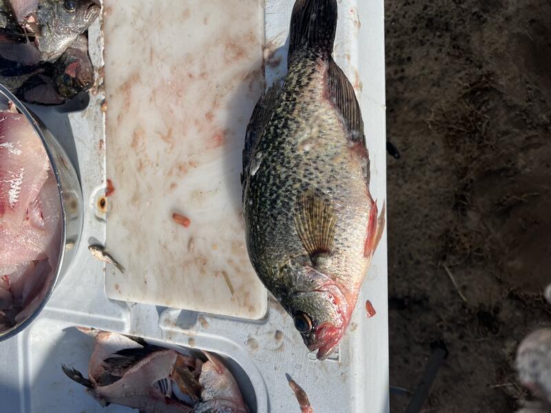 Tiger lake - Florida - Crappie.com