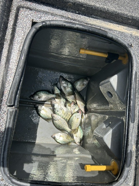 Smithville 6/23 - Missouri Fishing - Crappie.com